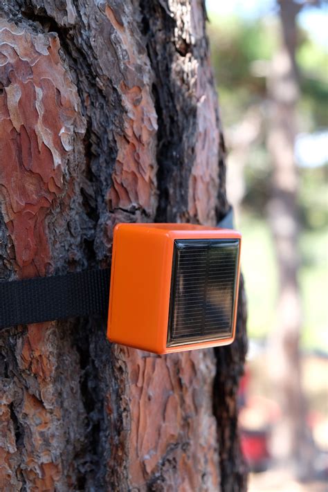ForestGuard Fire Risk Monitoring Sensor EchoStar Mobile