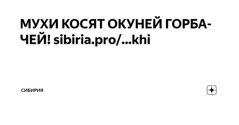 МУХИ КОСЯТ ОКУНЕЙ ГОРБАЧЕЙ Sibiria Pro Khi СИБИРИЯ Дзен