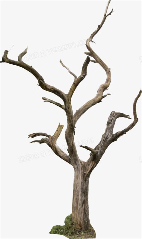 Png Png