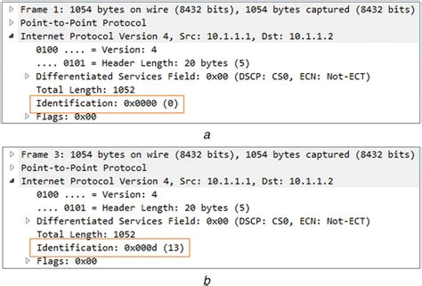Capture Of IP Packets A ID Of The First Packet B ID Of The Second Download Scientific