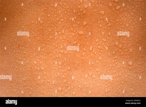 Water drops on the woman skin. Human skin and sweat. Close up of wet ...
