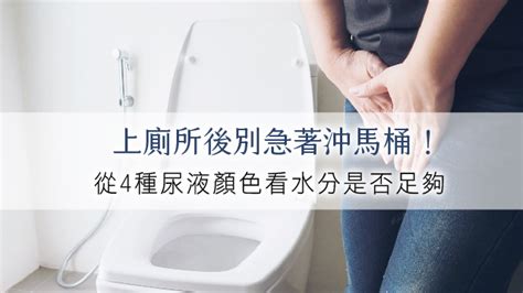 上完廁所先別急著沖馬桶！從4種尿液顏色看水分是否充足 莉安娜eliana 解決私密困擾專家｜官方網站