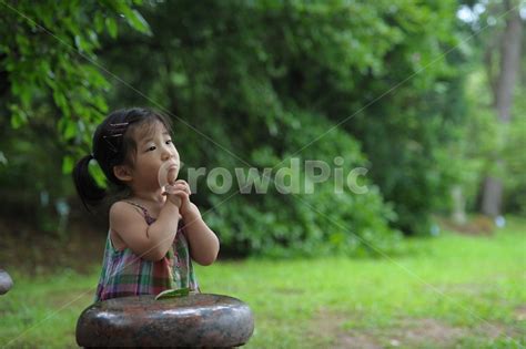 소녀 기도 어린이 숲 공원 사진 이미지 일러스트 캘리그라피 삐아작가