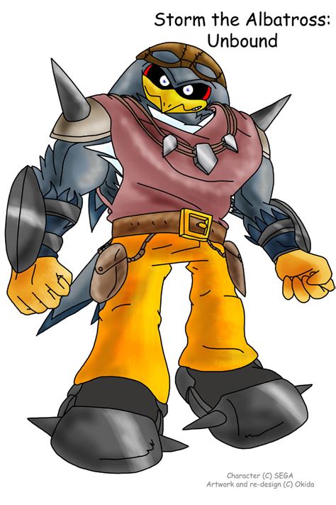 Storm The Albatross Unbound By Sonicunbound On Deviantart