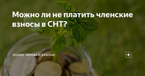 Можно ли не платить членские взносы в СНТ Scloud Аренда 1С в Облаке Дзен
