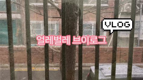 Vlog 01｜2020년 첫눈온날 찍은 얼레벌레 브이로그 Youtube