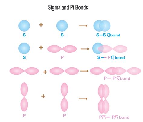 Sigma And Pi Bonds 27798518 Vector Art At Vecteezy