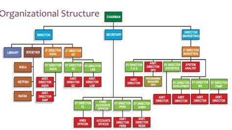 Mpeda Marine Products Export Development Authority Pptx