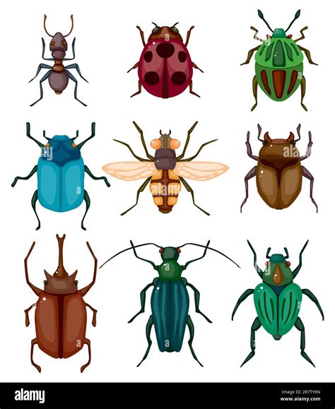 Cartoon Insect Bug Icon Stock Vector Image And Art Alamy