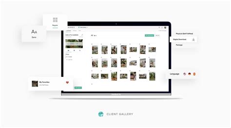 Choosing The Right Subscription Pixieset Help Center
