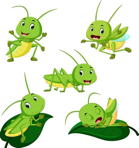 Set Collection Grasshopper Cartoon 12850032 Vector Art At Vecteezy