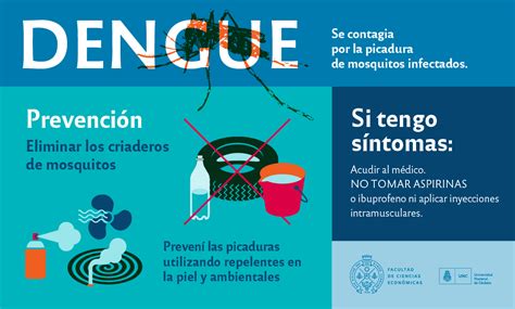 Medidas Preventivas Para El Dengue Salto En Red