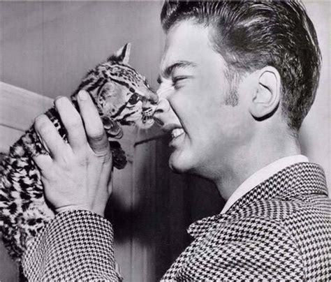 Ева элфи и адам оцелот свадьба 61 фото