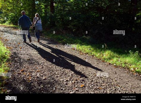 A Couple Walk Down A Path Between Trees In A Forest Casting A Shadow In The Bright Sunlight