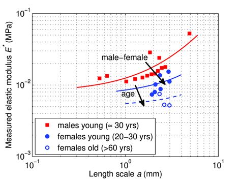 Measured Elastic Modulus Of In Vivo Skin Of The Human Volar Forearm As Download Scientific