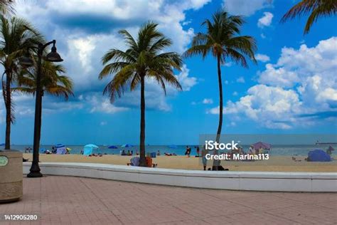 라스 올라스 대로 근처 포트 로더데일 비치 거리에 대한 스톡 사진 및 기타 이미지 거리 관광 관광객 Istock
