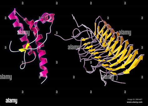alpha helix dna