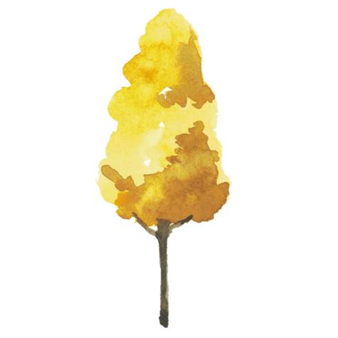 Trees Change Color In Autumn Season 28714105 PNG