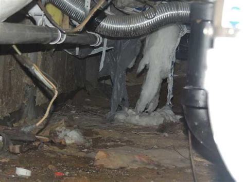 Quality 1st Basement Systems Crawl Space Repair Photo Album Crawl