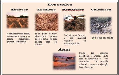Tomi Digital Ciencias Naturales Sexto Tipos De Suelo