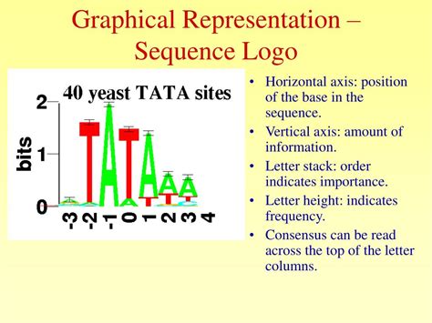 Ppt Local Multiple Sequence Alignment Sequence Motifs Powerpoint