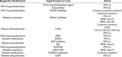Epigenetic Modifications And Effects Download Scientific Diagram