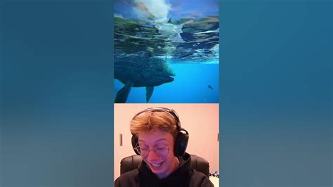 Leedsichthys Attack Youtube