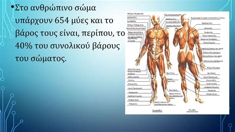 ΜΥΙΚΟ ΣΥΣΤΗΜΑ Ppt κατέβασμα