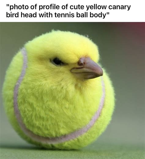 Canary Bird With Tennis Ball Body Funny Reaction Pictures