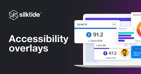 Accessibility Overlays Silktide
