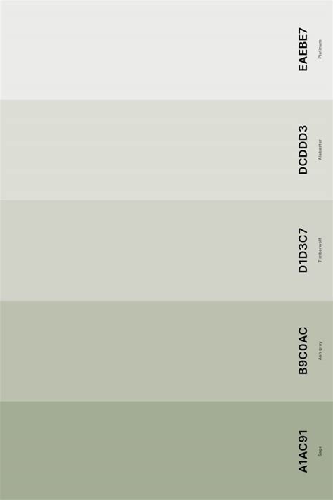 13 Light Sage Green Color Palette Color Palette With Space Cadet Hex 262842 Delft Blue