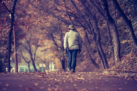산책길을 걷고있는 남자의 뒷모습 유토이미지 상세페이지 베이직샵 사진 21008746