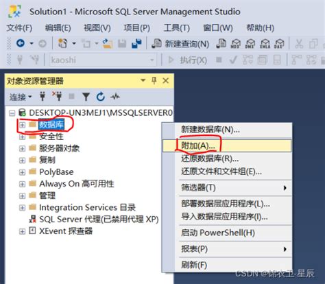 如何查询sql Server数据库的数据如何查看本地sql数据库的信息 Csdn博客