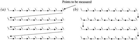 A Unidirectional Path B Bidirectional Path Download Scientific Diagram