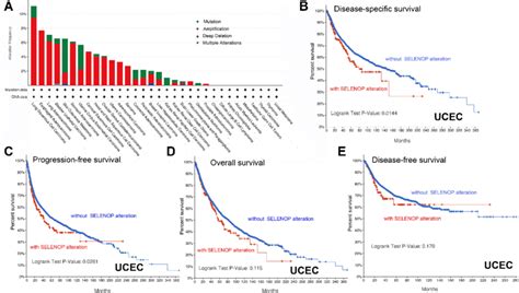 Mutation Feature Of Selenop In Different Tumor Types Of Tcga A The
