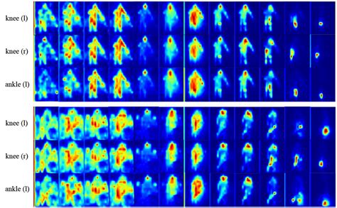 About Visualization Of The Attention Map Issue Leeyegy TokenPose GitHub