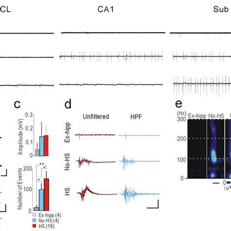 Spontaneous Field Potential Recordings Reveal Epileptiform Activities Download Scientific