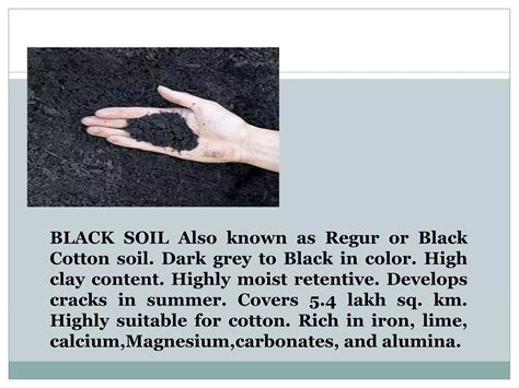 Soil Type And Their Characteristic PPTX