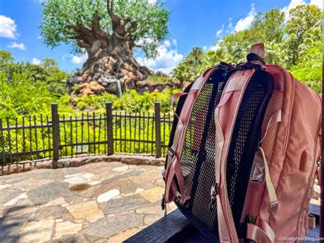These 5 Strange Gadgets Will Instantly Make Disney World Easier