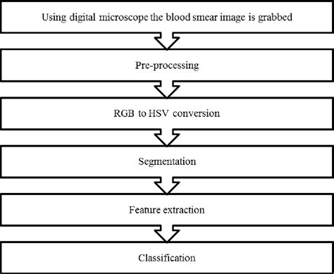Figure 1 From Automated Leukemia Detection Using Shape Feature Extraction Semantic Scholar