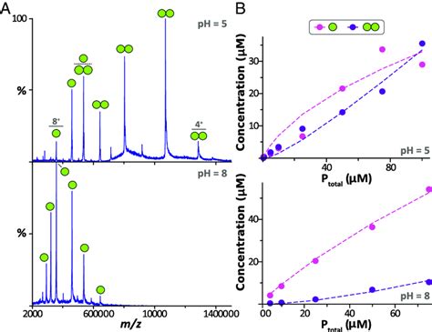 Native Ms Reveals Monomer Dimer Equilibrium Binding Constants K D Download Scientific