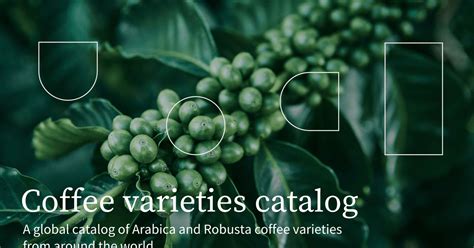 World Coffee Research Robusta