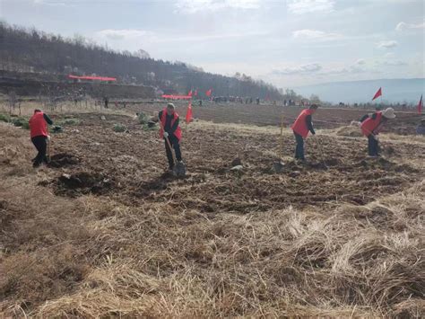 春风拂绿万象新 植树添绿正当时——清水县委党校开展义务植树活动 工作动态 中共天水市委党校