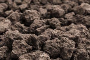 How To Break Down Clay Soil Fast Gardening Dream