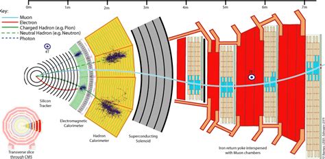 4 A Cross Section Of The Cms Detector The Parts Of The Detector In Download Scientific