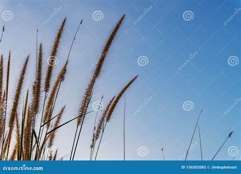 Marvel The Ragnarok Netflixç”µè§†å± å¹•ï¼Œå¤‡æœ‰çƒ­æ­å‰§é€‰æ‹©ã€‚ç”µå½±ã€‚netflixç½‘çœç”µè