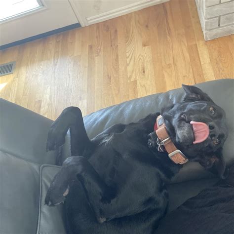 Chuggy Youtube Chuggy Youtube