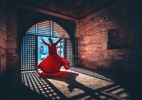 شعر ناب درخت تو گر بار دانش بگیرد به زیر آوری چرخ نیلوفری را ناصر