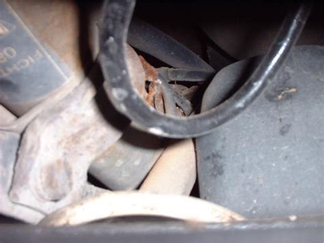 Rust Near Battery How Bad Is This Pelican Parts Forums