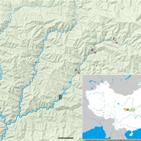 The Overview Diagram Of Genomic Pairwise Dominance Coefficients Between Download Scientific